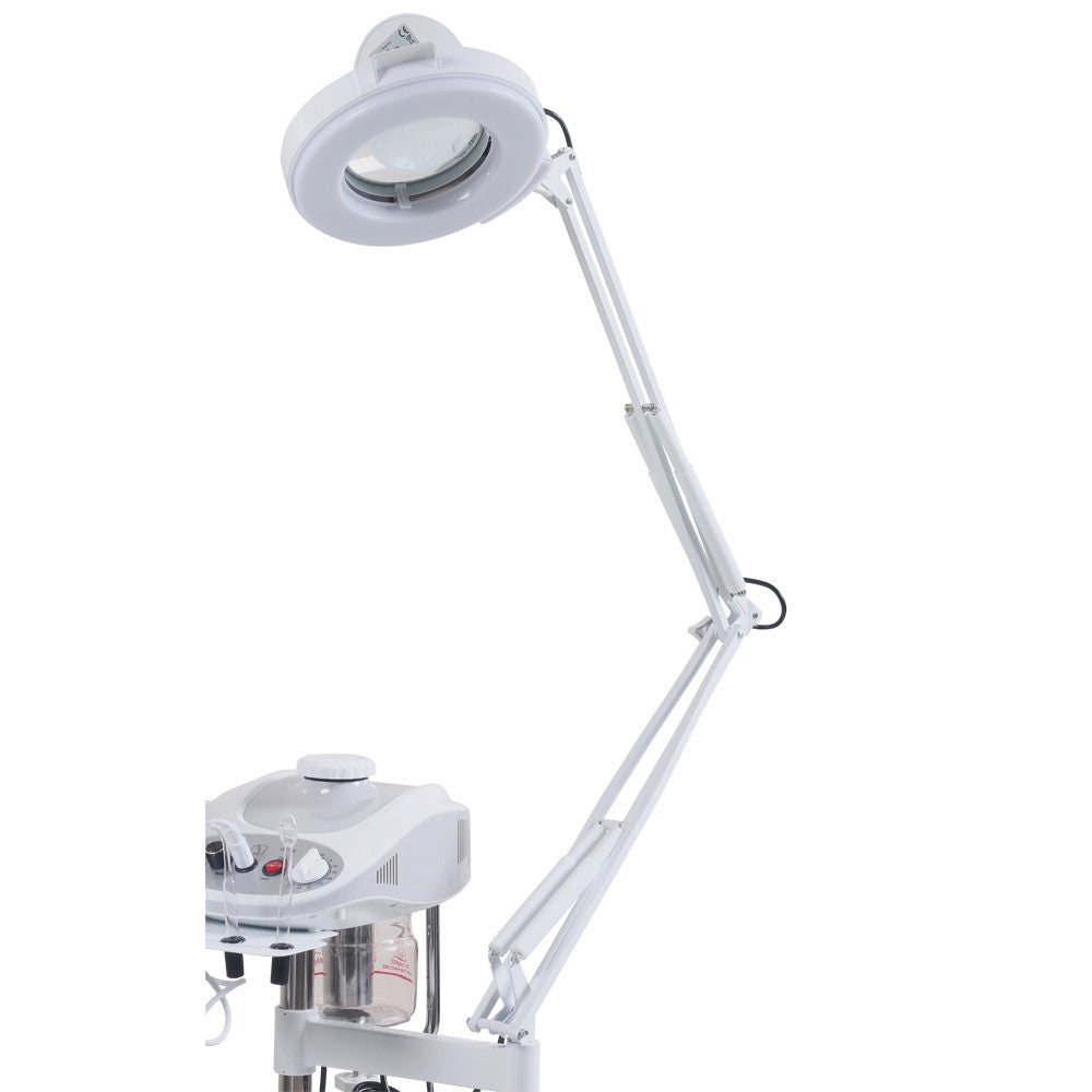 3 in 1 Aromatherapy Facial Steamer, 5X Magnifying LED Lamp, High Frequ ...